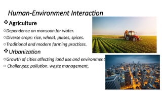 The interrelation btw human and environmental | PPTX
