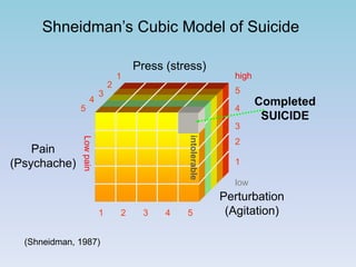 Suicide:Risk Assessment & Interventions | PPTX