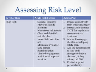 Professional Risk Assessment: Suicide and Self Harm Risk | PPTX