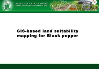 2nd ENTAG Platform meeting-Suitability analysis for black pepper | PPT