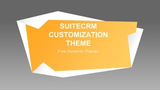Suite crm theme customization | PPTX