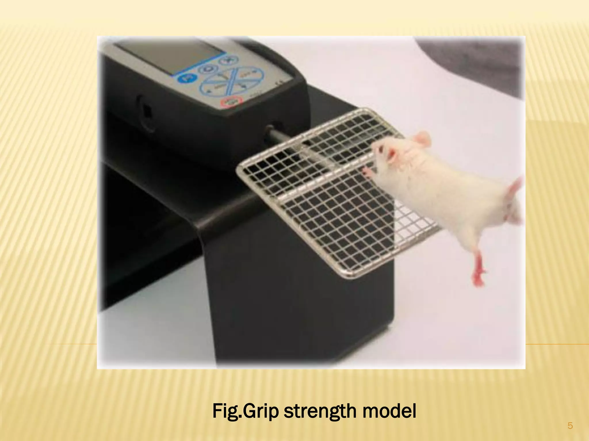 muscle co-ordination | PPT