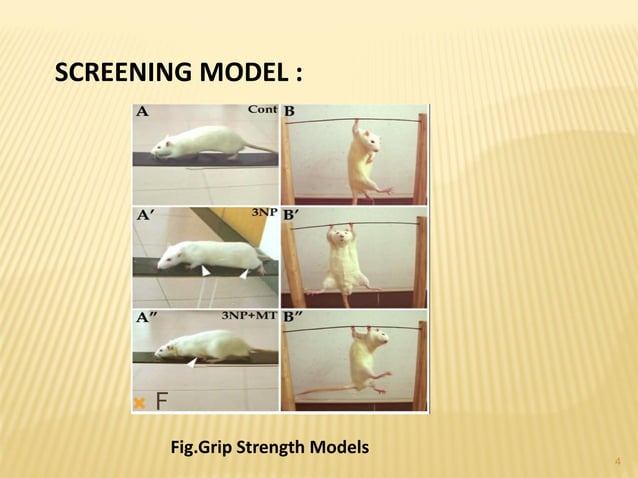 muscle co-ordination | PPT