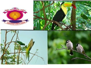 Sujata Tr Std I Eng poem our forest friends.pptx