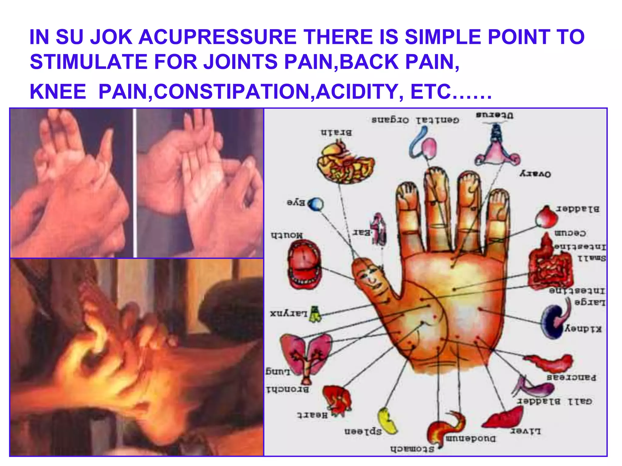 Sujok ppt nov 2013 (1) | PPTX