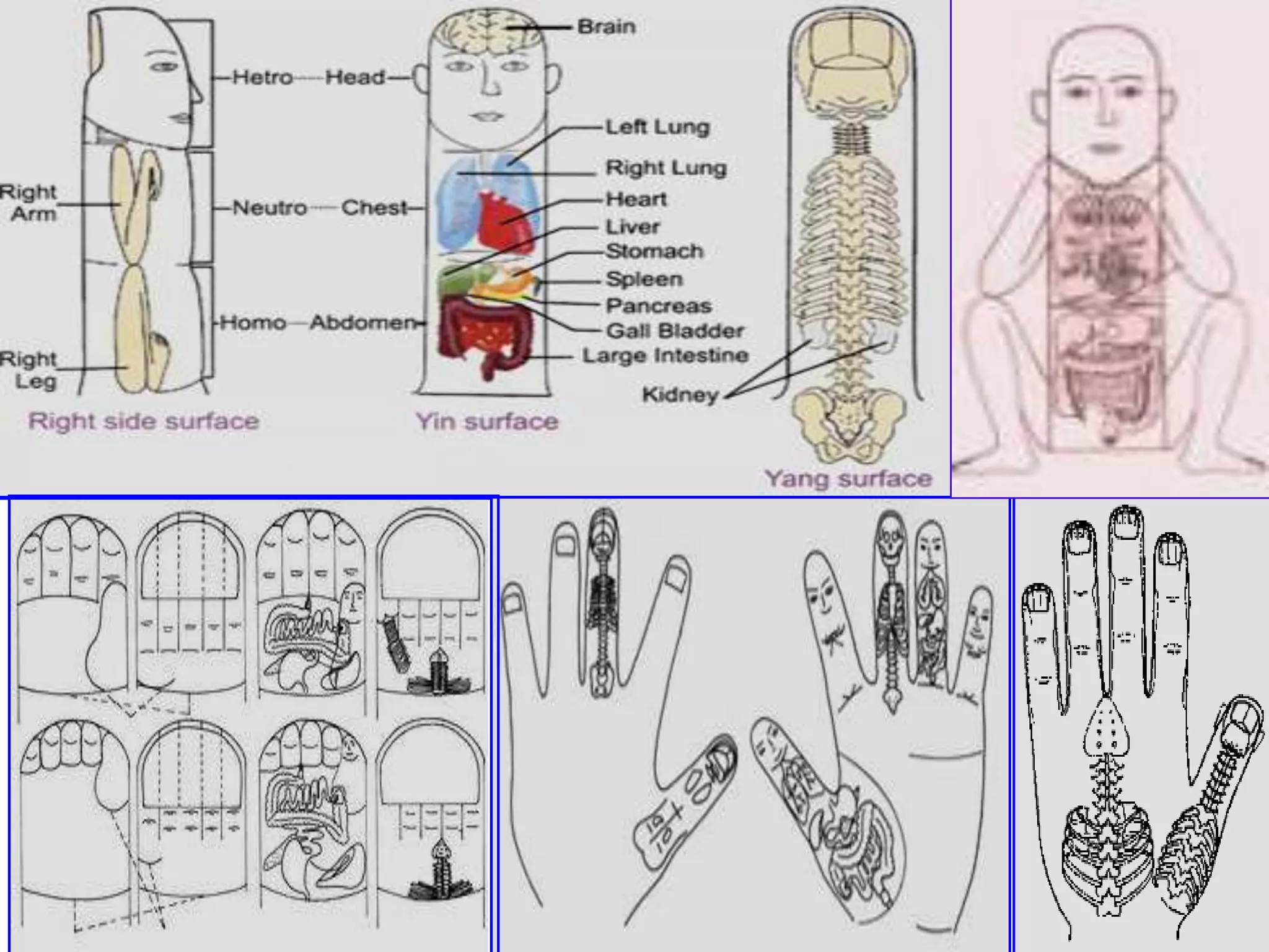 Sujok ppt nov 2013 (1) | PPTX
