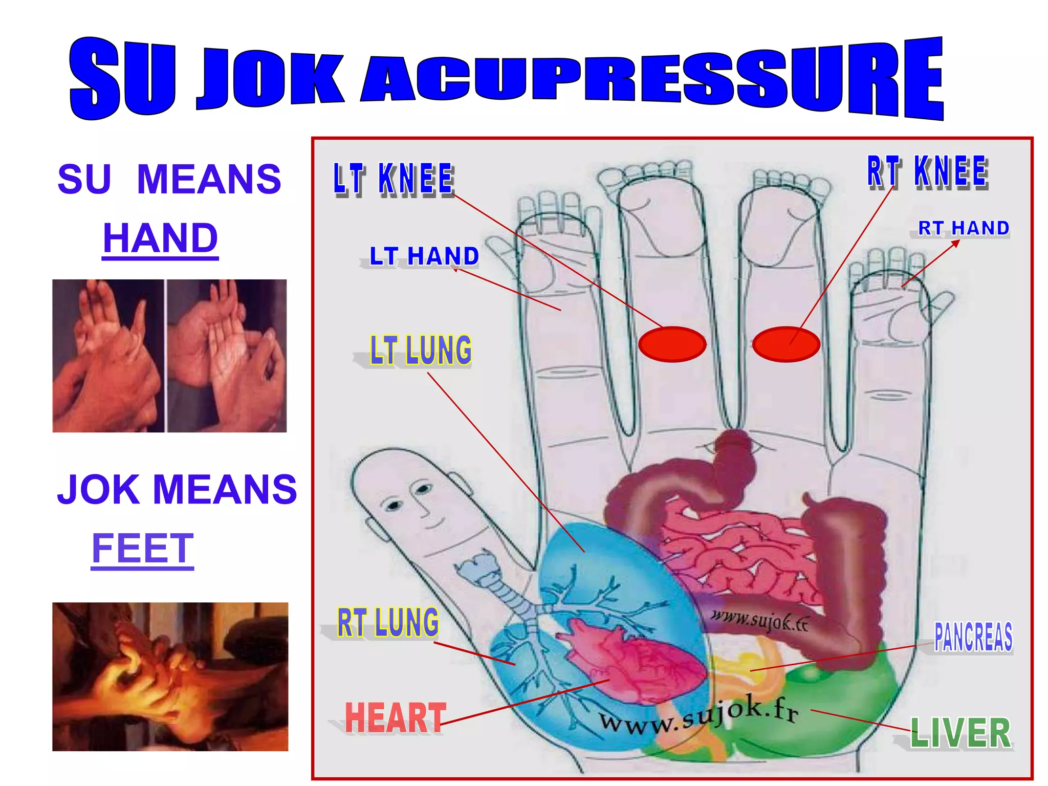 Sujok ppt nov 2013 (1) | PPTX