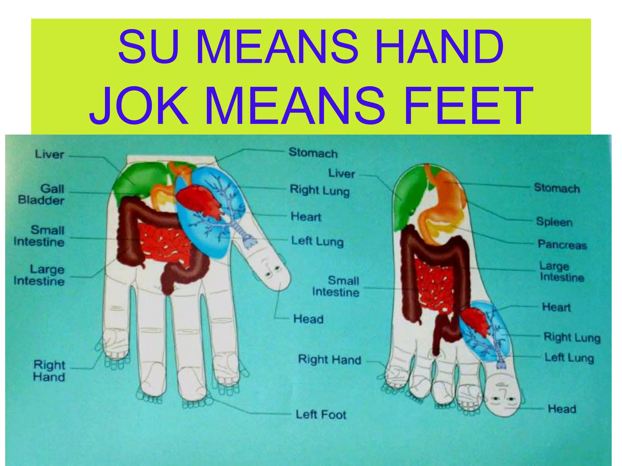 Sujok ppt nov 2013 (1) | PPTX