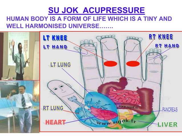 Sujok ppt nov 2013 (1) | PPTX