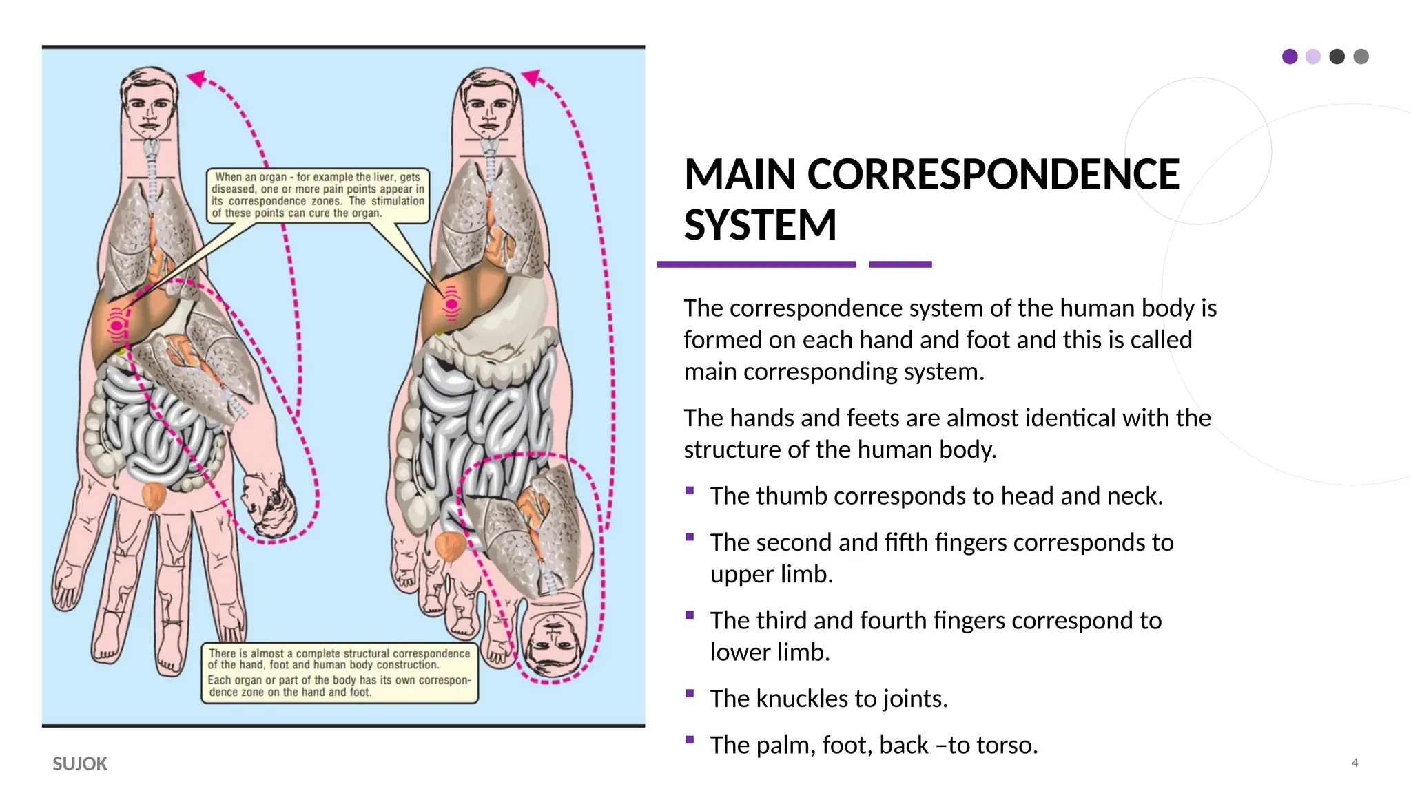 sujok therapy presentation.pptx BASIC INFORMATION ABOUT SUJOK | PPTX
