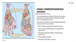 sujok therapy presentation.pptx BASIC INFORMATION ABOUT SUJOK | PPTX