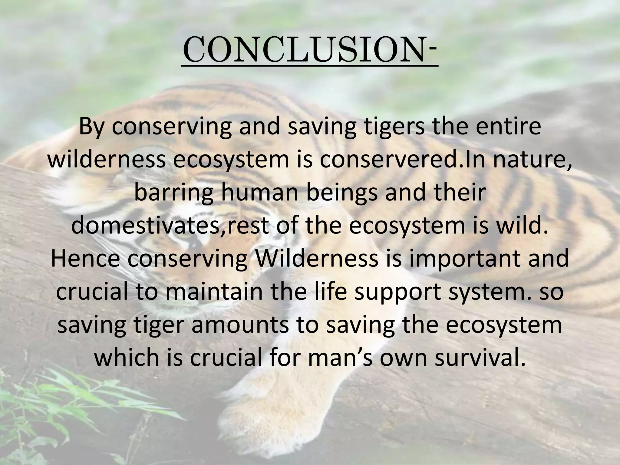 PROJECT TIGER ppt. | PPTX