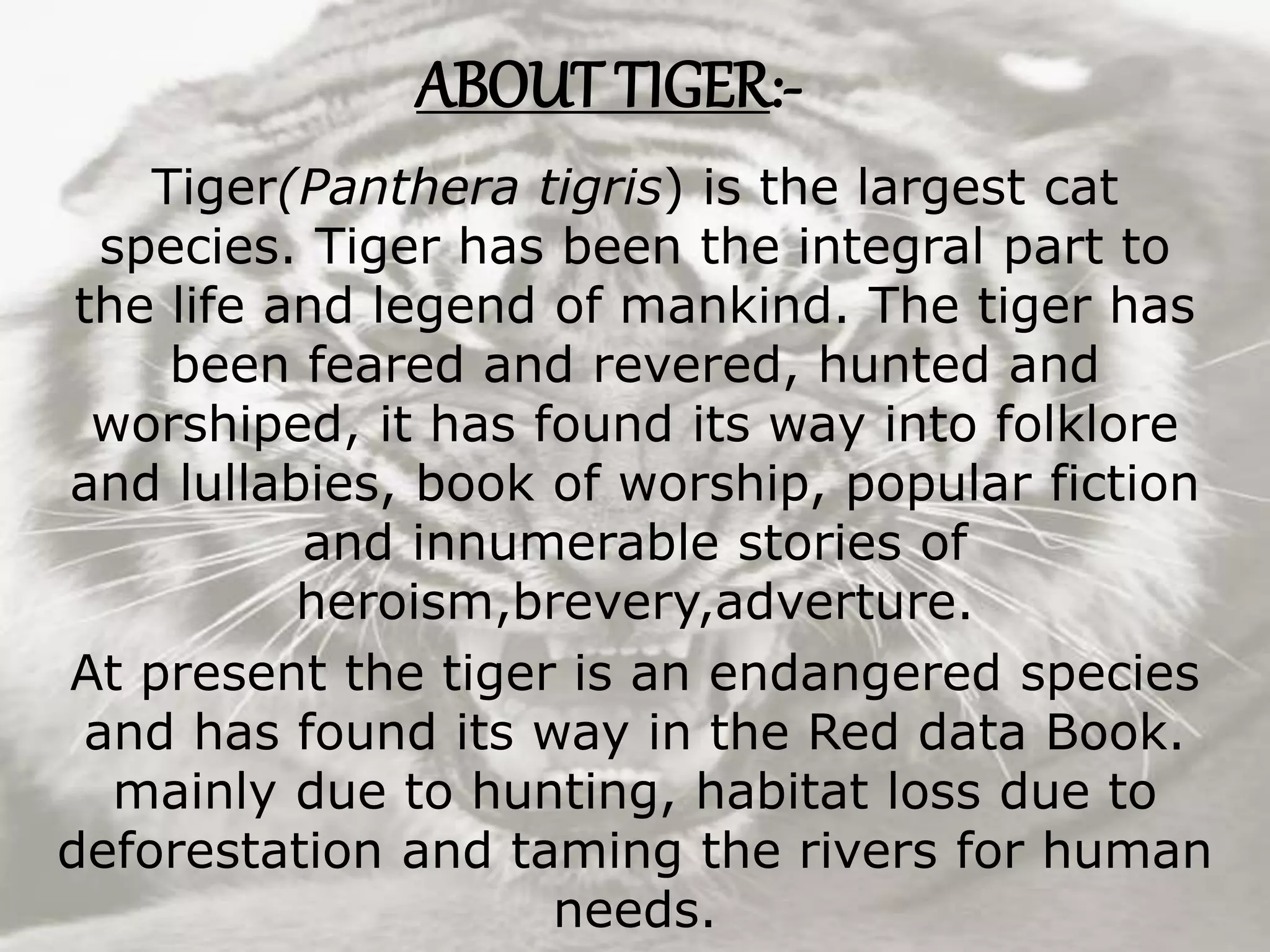 PROJECT TIGER ppt. | PPTX