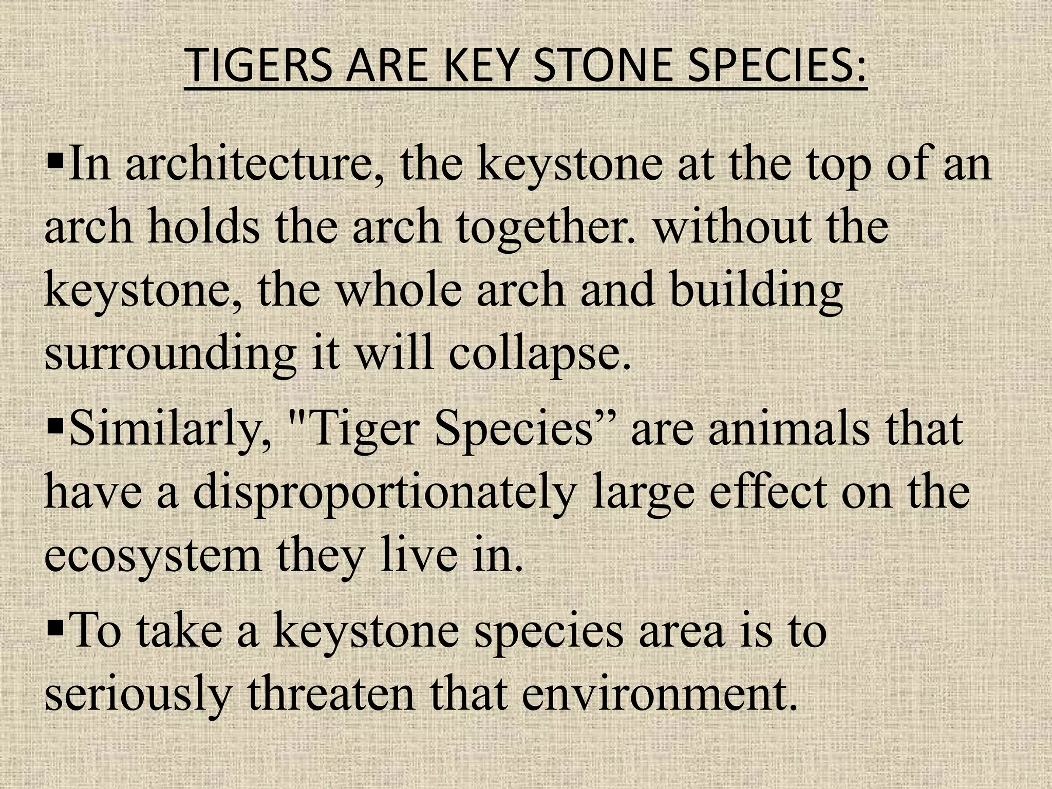 PROJECT TIGER ppt. | PPTX