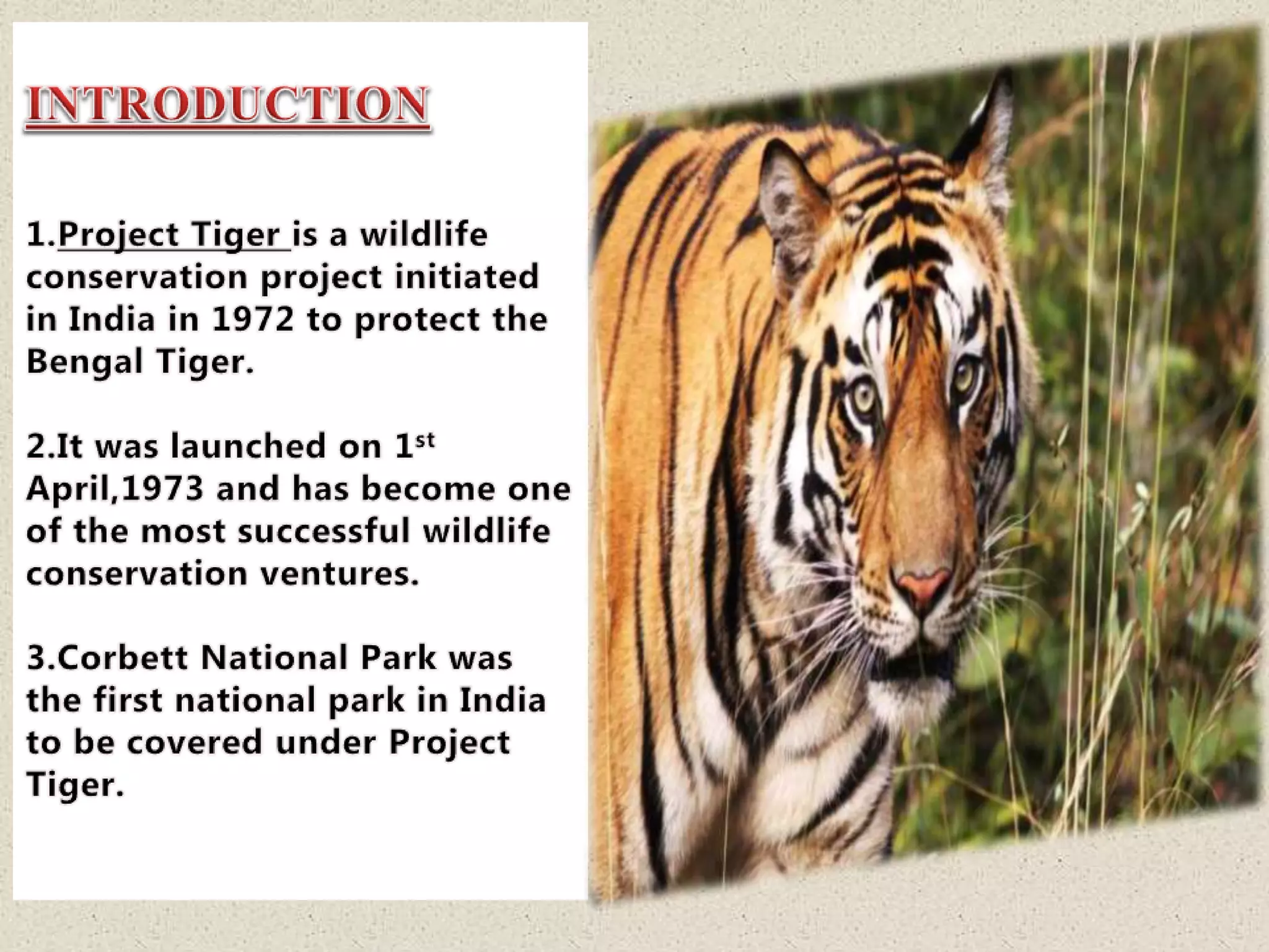 PROJECT TIGER ppt. | PPTX