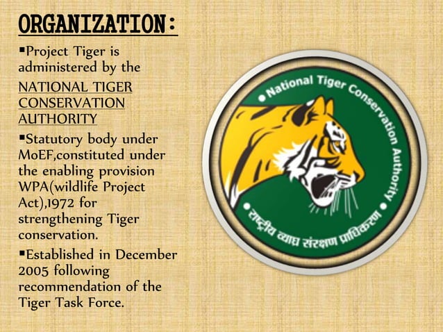 PROJECT TIGER ppt. | PPTX | Large Animals | Pets