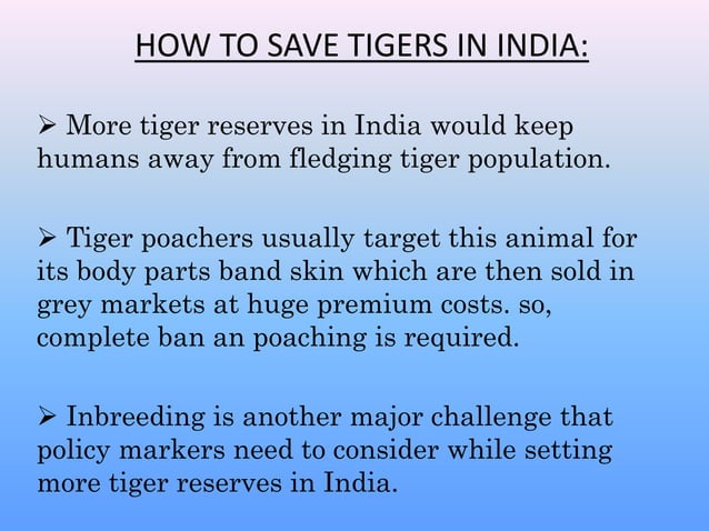 PROJECT TIGER ppt. | PPTX | Large Animals | Pets