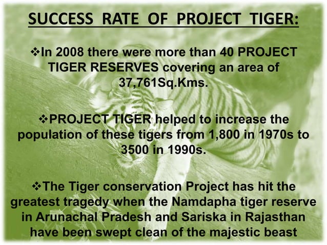 PROJECT TIGER ppt. | PPTX | Large Animals | Pets
