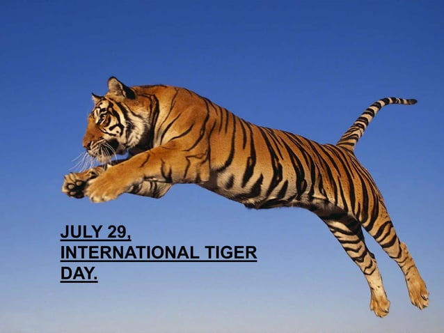 PROJECT TIGER ppt. | PPT