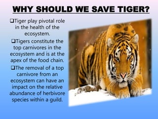 PROJECT TIGER ppt. | PPTX