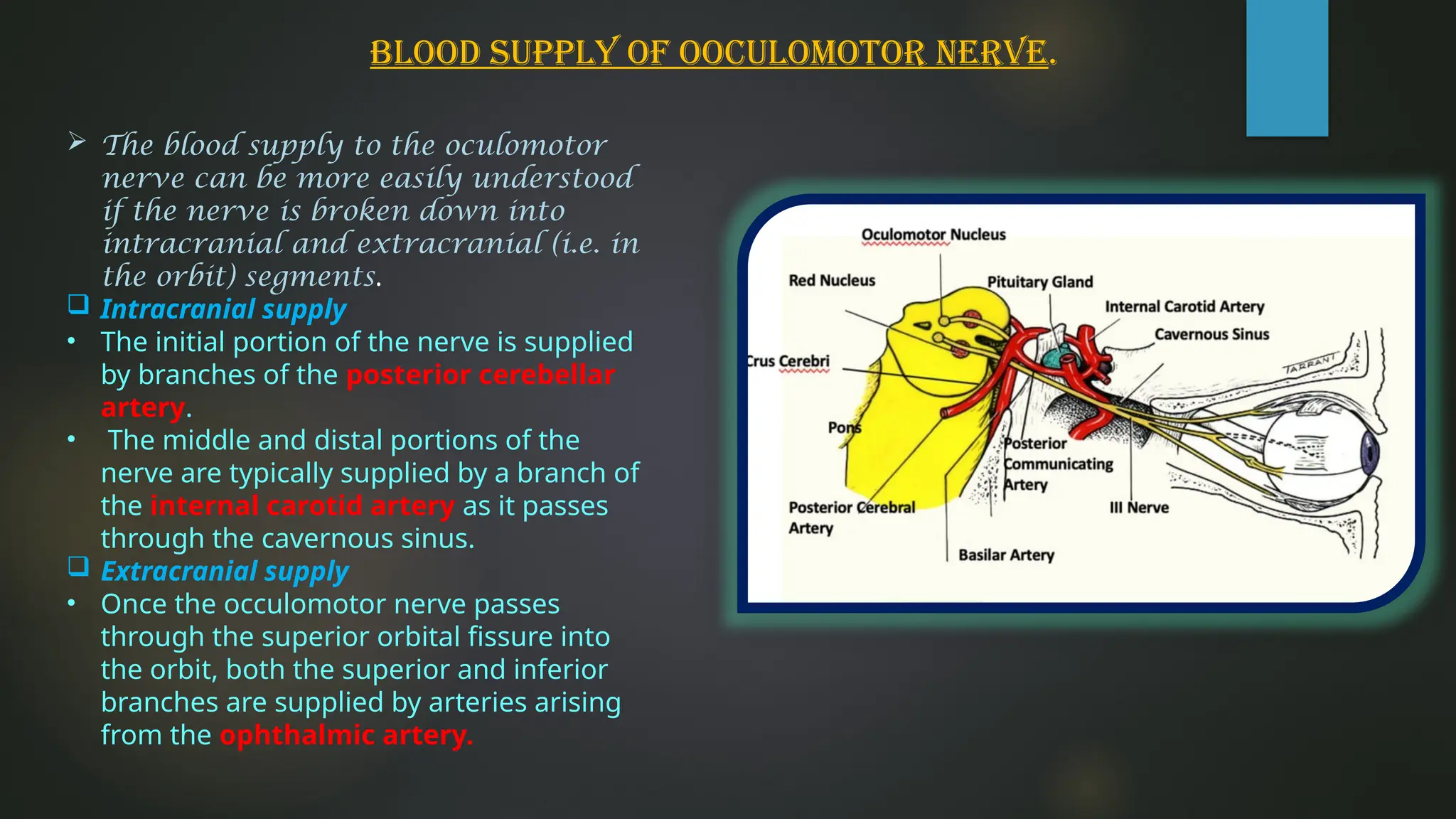 NERVES OF ORBIT AND CLINICAL ANATOMY (ANATOMY) BDS STUDENT | PPTX