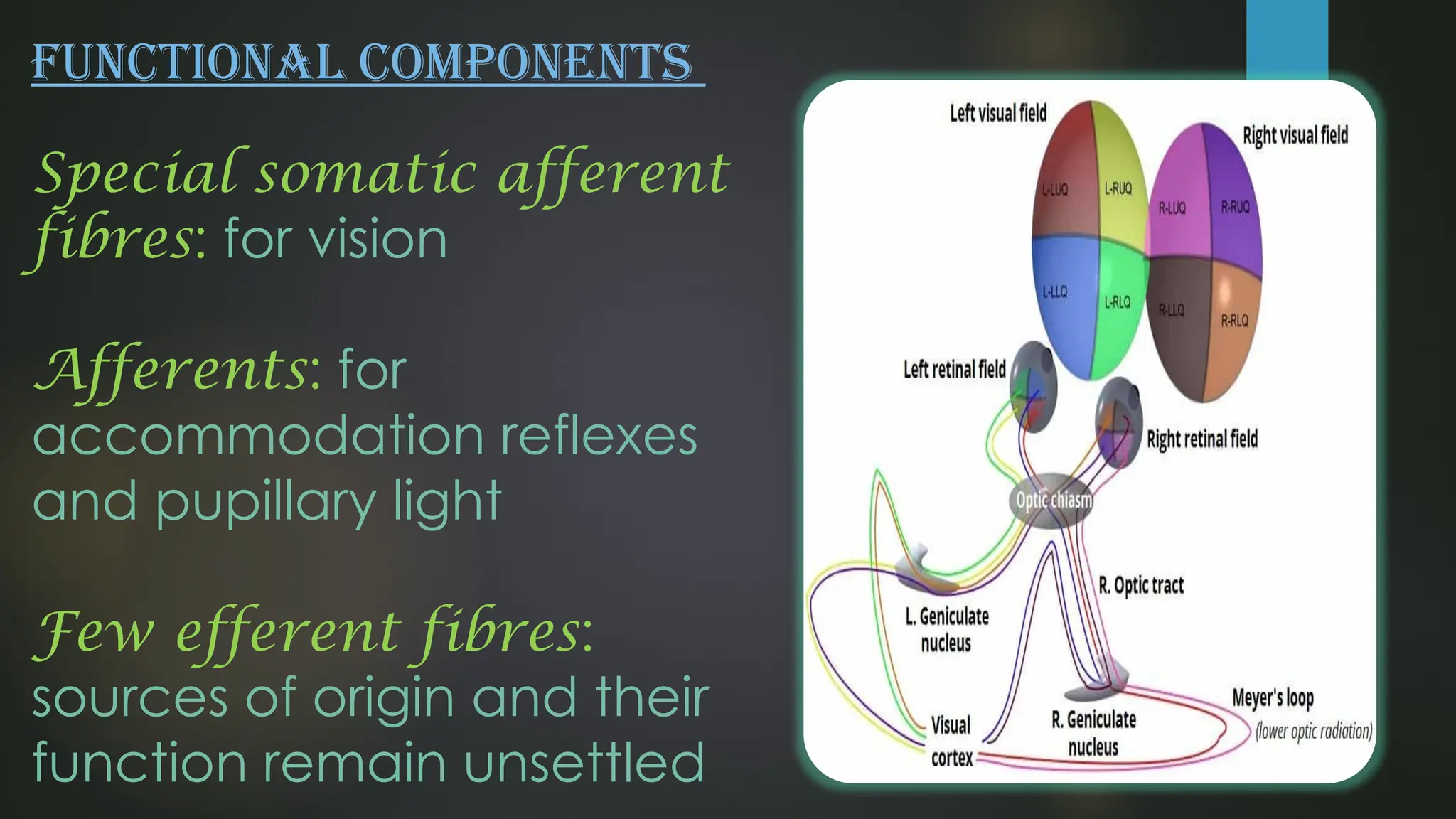 NERVES OF ORBIT AND CLINICAL ANATOMY (ANATOMY) BDS STUDENT | PPTX