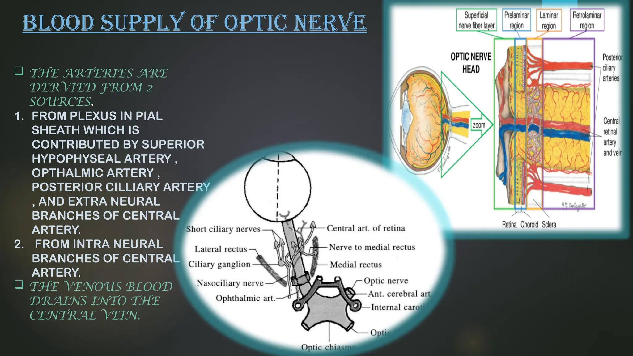 NERVES OF ORBIT AND CLINICAL ANATOMY (ANATOMY) BDS STUDENT | PPTX