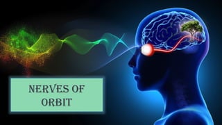 NERVES OF ORBIT AND CLINICAL ANATOMY (ANATOMY) BDS STUDENT | PPTX