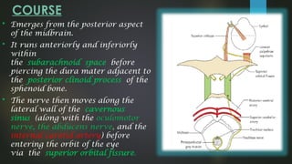 NERVES OF ORBIT AND CLINICAL ANATOMY (ANATOMY) BDS STUDENT | PPTX