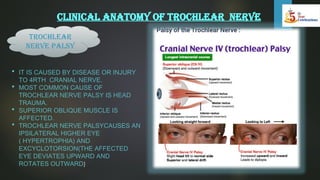 NERVES OF ORBIT AND CLINICAL ANATOMY (ANATOMY) BDS STUDENT | PPTX
