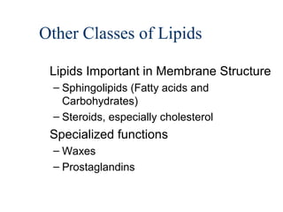 Sukalski lipids11complete with metabolism much detail | PPT | Endocrine ...