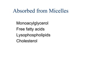 Sukalski lipids11complete with metabolism much detail | PPT