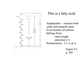 Sukalski lipids11complete with metabolism much detail | PPT
