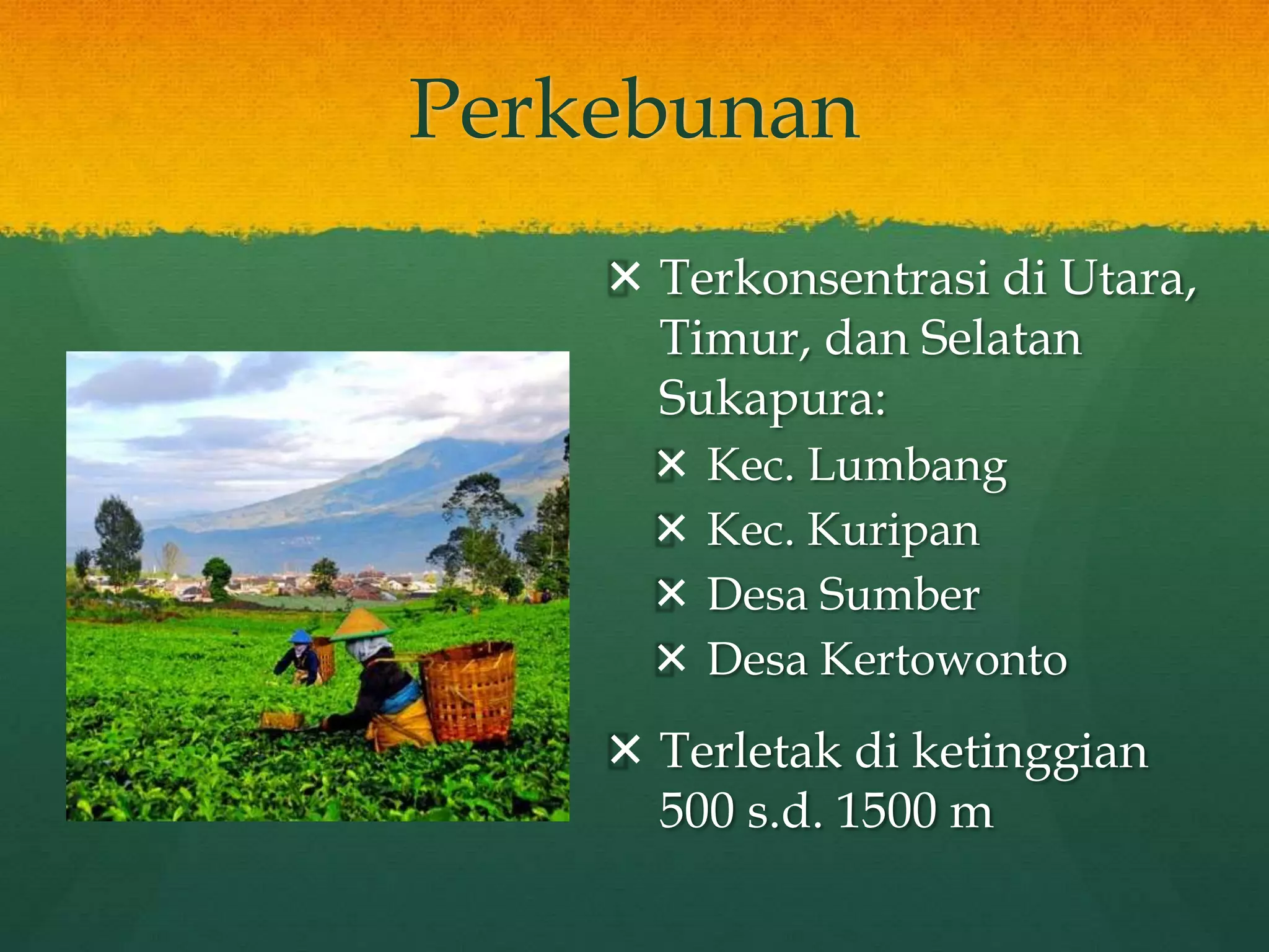 Geografi Pertanian: Tipe Pertanian, Potensi Degradasi Lahan, dan ...