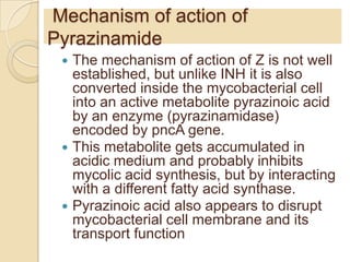 Sukh | PPT | Free Download