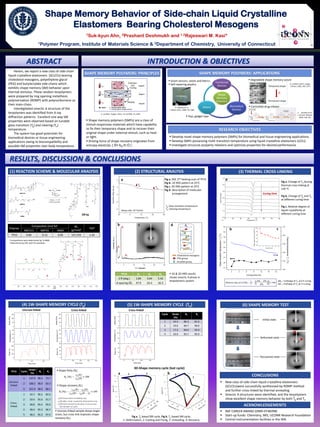 Research Poster 2009 | PDF
