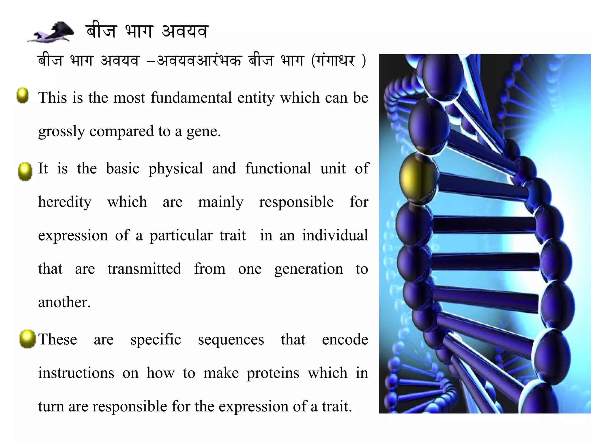 Genetics vis-à-vis Shukravaha Srotas | PDF