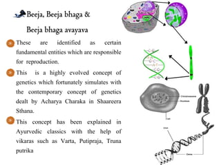 Genetics vis-à-vis Shukravaha Srotas | PDF