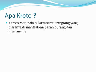 Sukses plan-kroto | PPTX