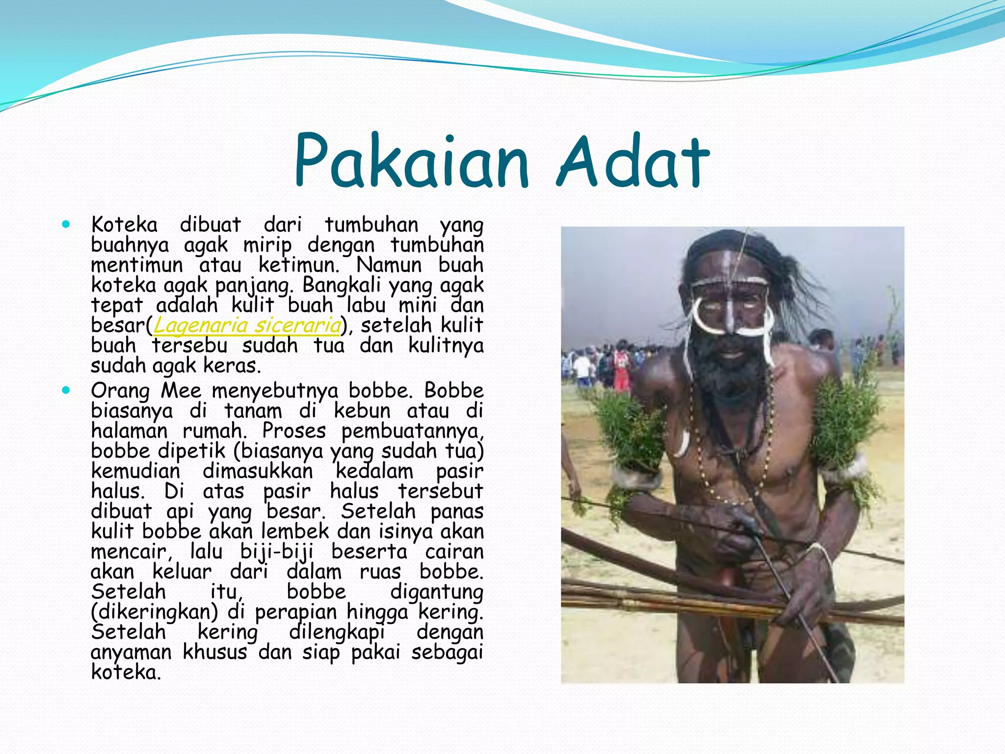 Suku dani elang_smancip | PPT