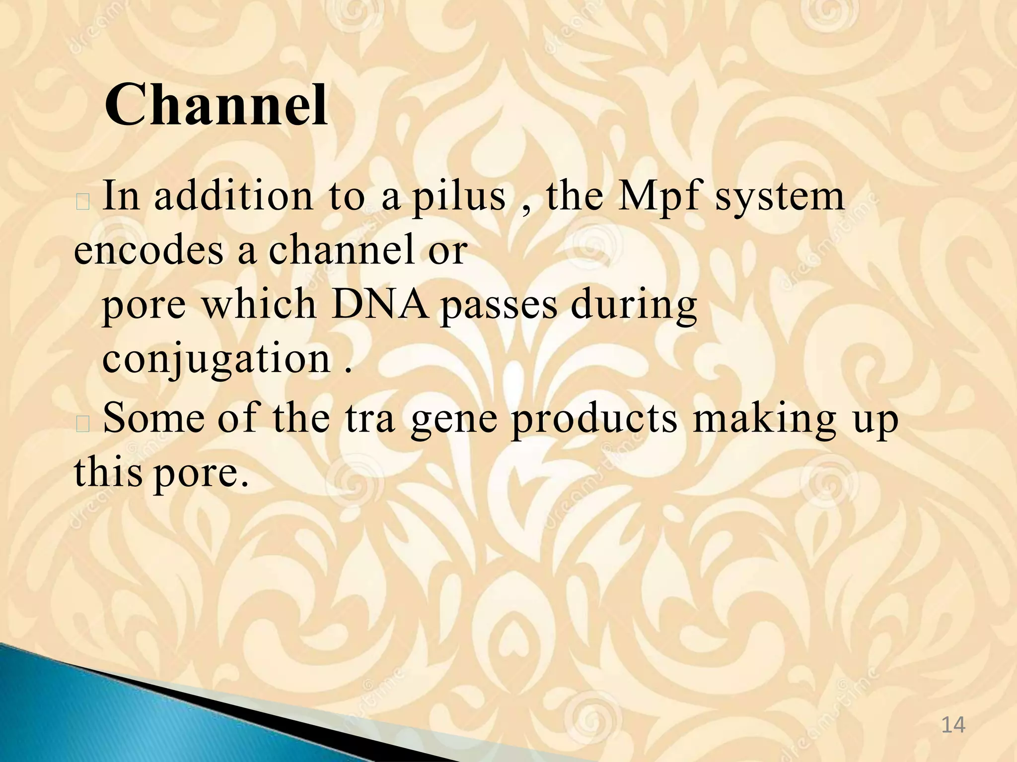 Conjugation-Mechanism and significance | PPTX