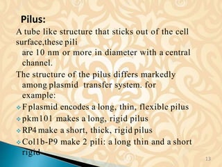Conjugation-Mechanism and significance | PPTX
