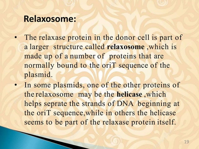 Conjugation-Mechanism and significance | PPTX | Chemistry | Science