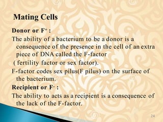 Conjugation-Mechanism and significance | PPTX