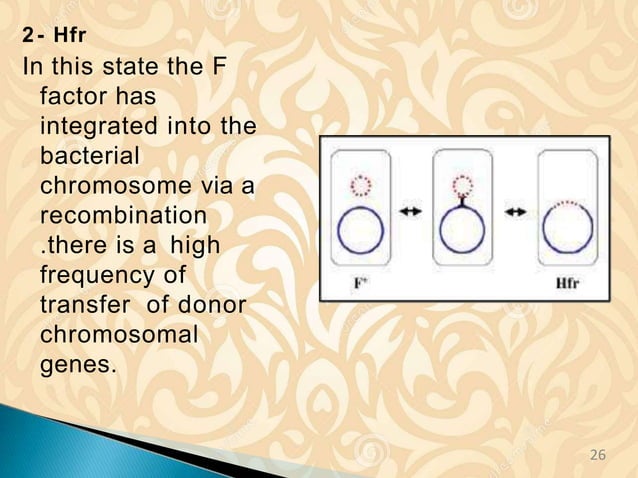 Conjugation-Mechanism and significance | PPTX | Chemistry | Science