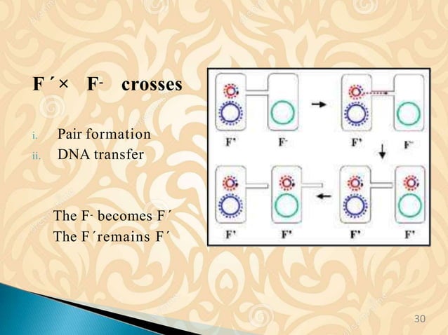 Conjugation-Mechanism and significance | PPTX | Chemistry | Science
