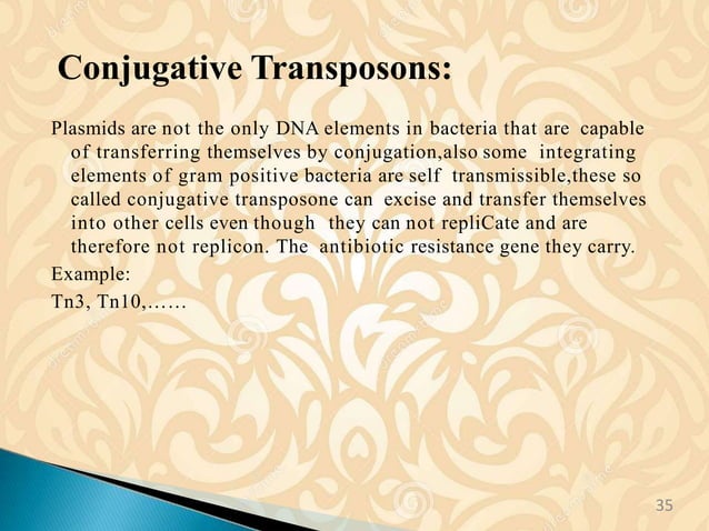 Conjugation-Mechanism and significance | PPTX | Chemistry | Science