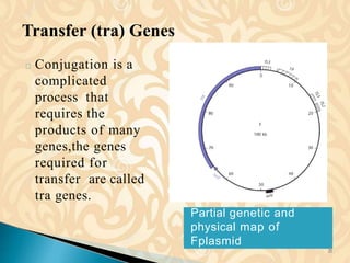Conjugation-Mechanism and significance | PPTX
