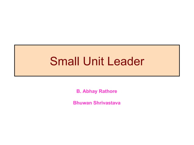 SMALL UNIT LEADER | PPT