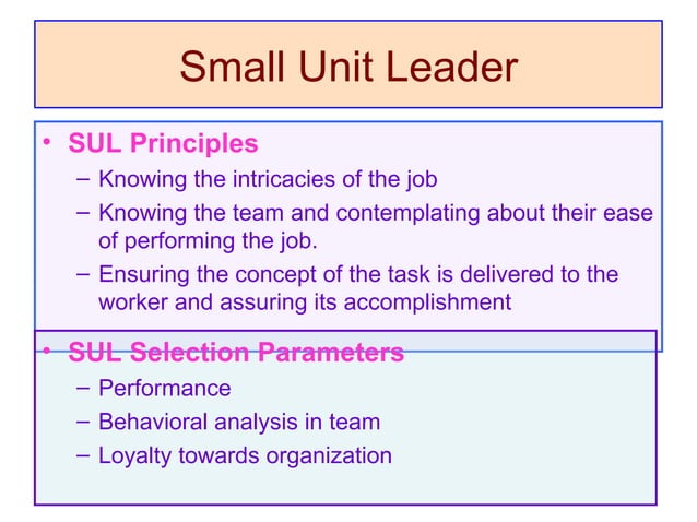 SMALL UNIT LEADER | PPT